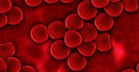 Groupe Sanguin : Système A/B/AB/O - Rhesus +/- Transfusions